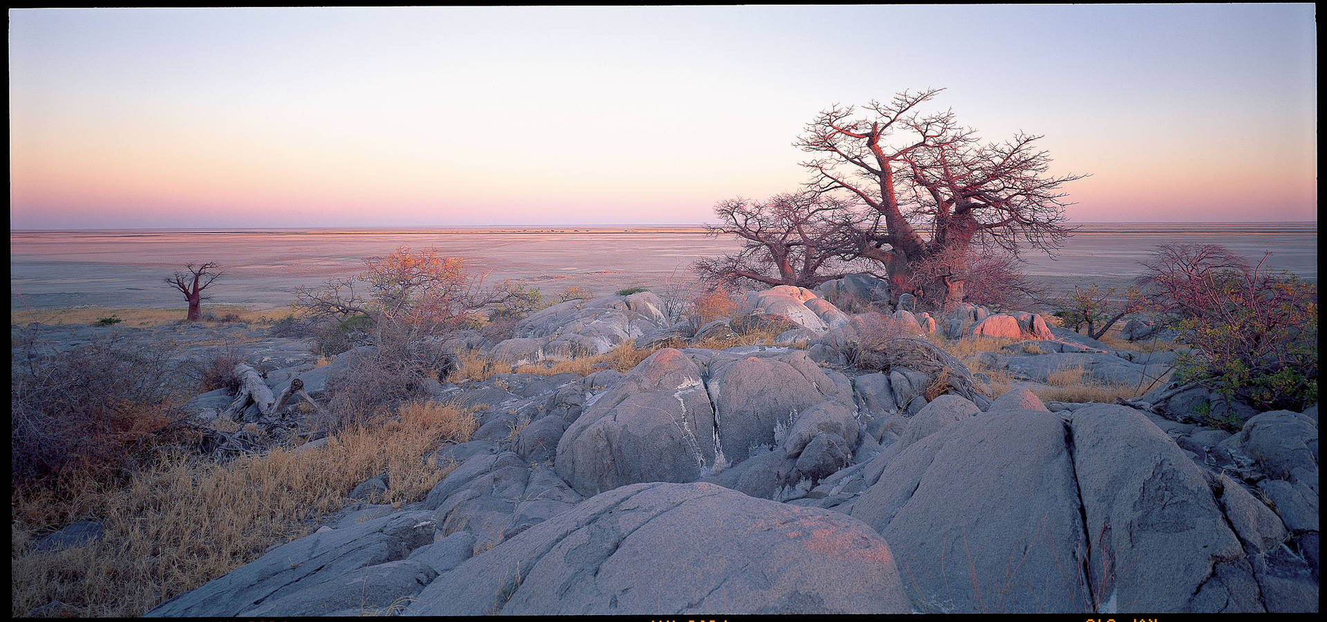 Makgadikgadi en Nxai Pan | All Over Tours