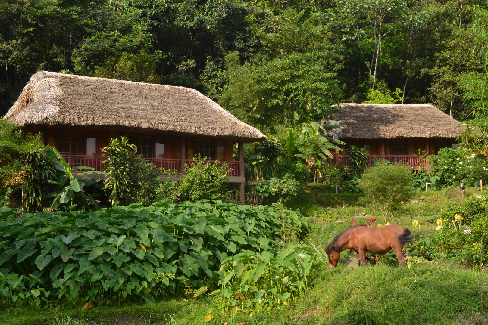 Panhou Retreat | Ha Giang | Vietnam | All Over Tours