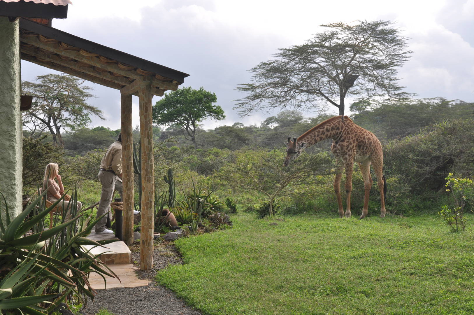 Hatari Lodge | Tanzania | All Over Tours