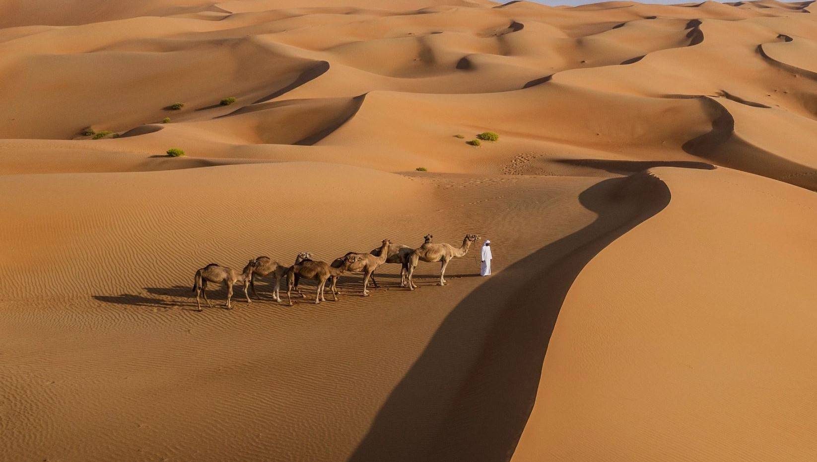 Cultuur en strand in Abu Dhabi | All Over Tours