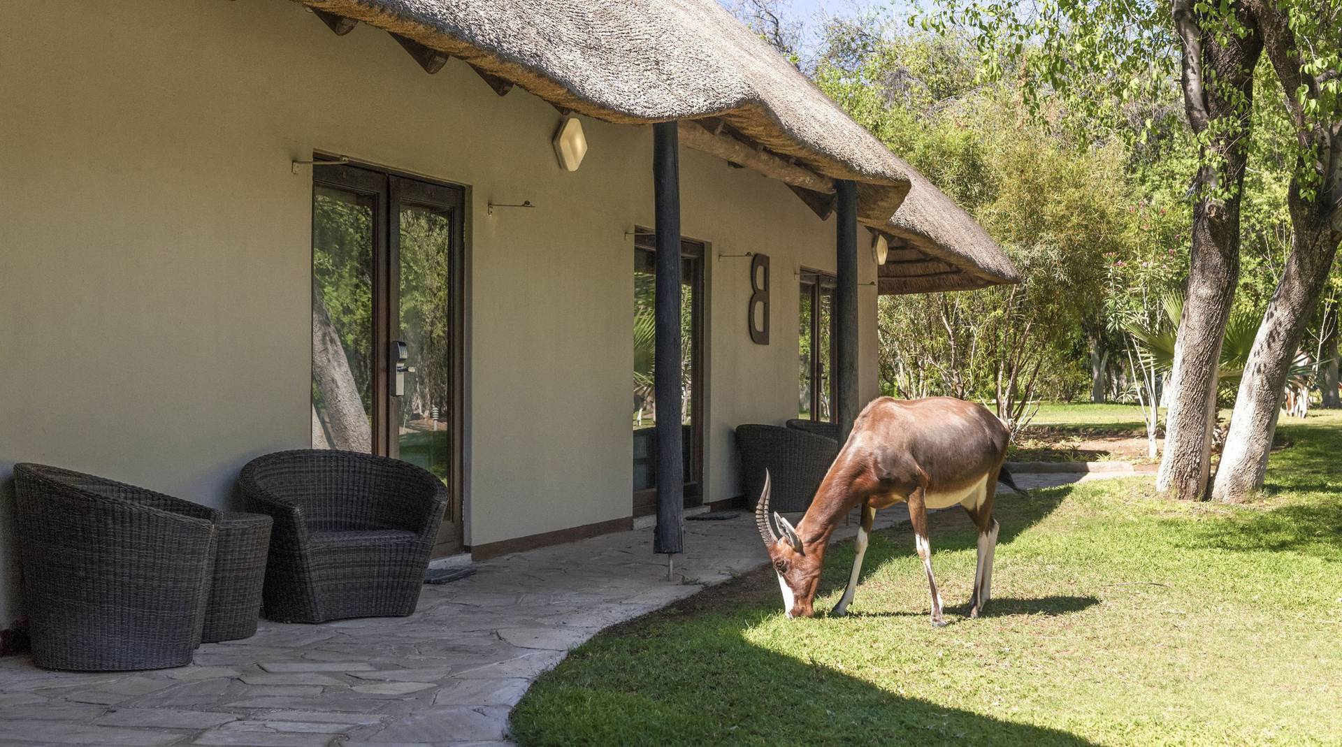 Mokuti Etosha Lodge | Namibië | All Over Tours