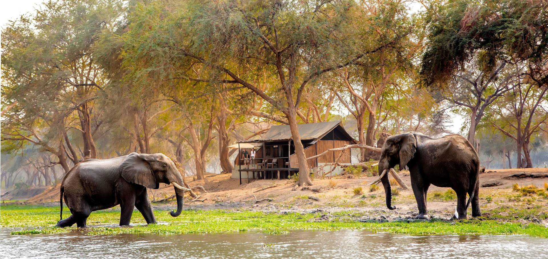 Old Mondoro | Zambia | All Over Tours