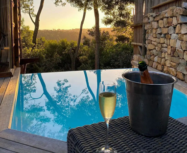 Tsala Treetop Lodge | Zuid Afrika | All Over Tours