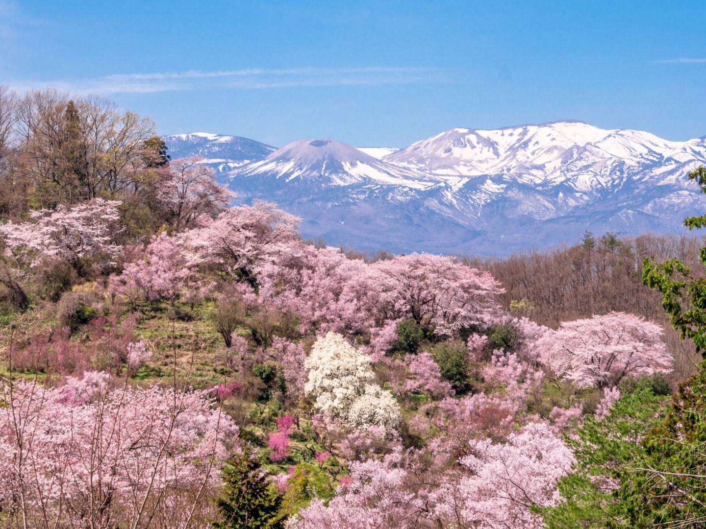 Beste reistijd Japan | Een overzicht per maand