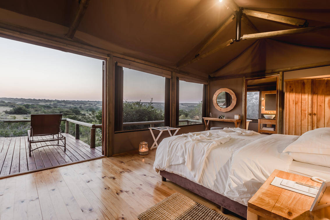 Hlosi Game Lodge | Amakhala Game Reserve | Zuid-Afrika